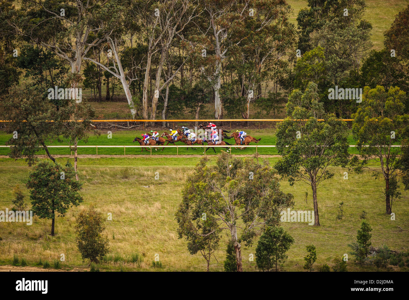 Watching the New Years Day Races at Hanging Rock Racecourse, Victoria ...