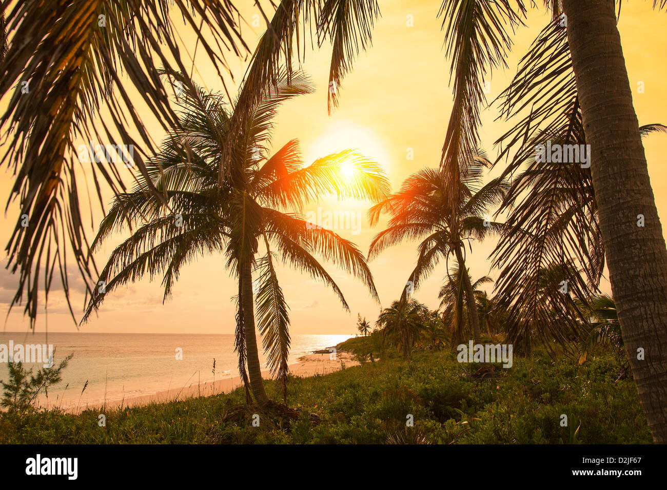 Bahamas, Eleuthera Island, Lighthouse Bay Stock Photo - Alamy