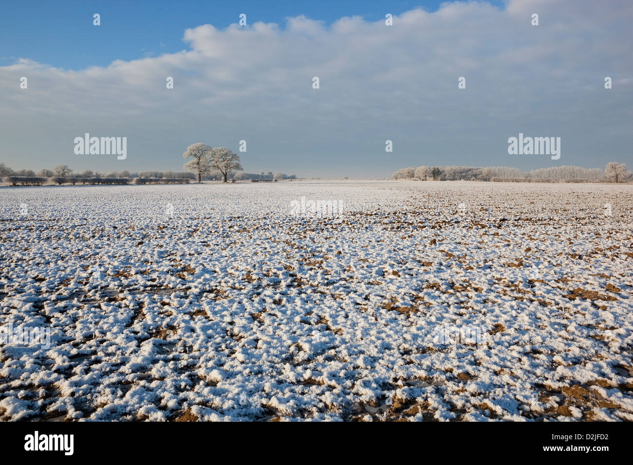 Natural patterns and textures of frost and snow in an arable landscape ...