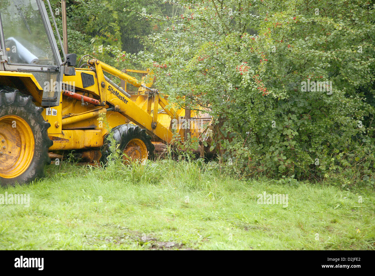Yellow back hoe excavator removing bushes and trees at the start of a ...