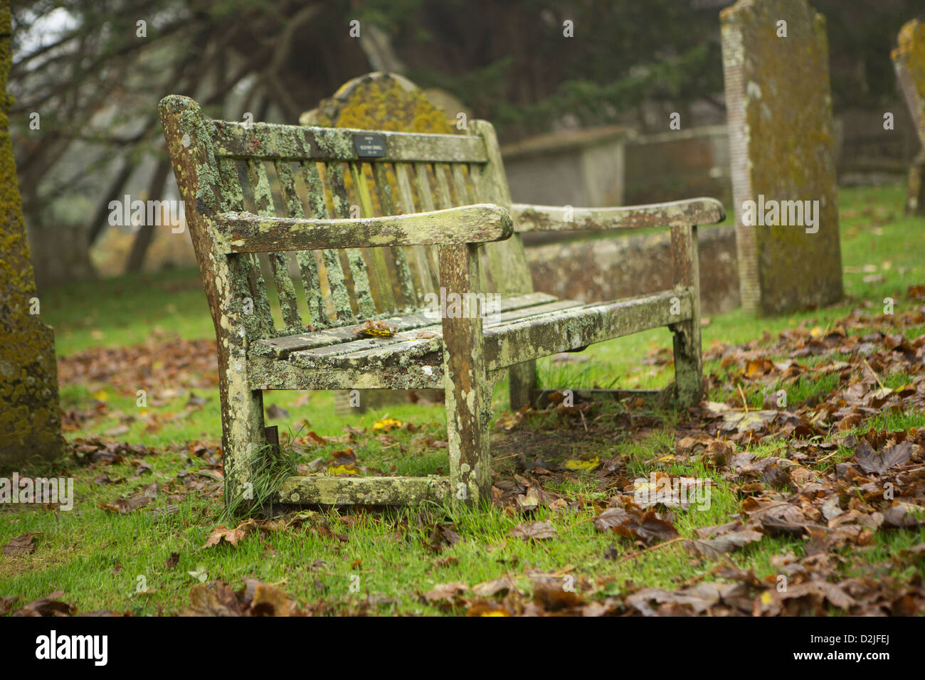Rotten wooden bench hi-res stock photography and images - Alamy