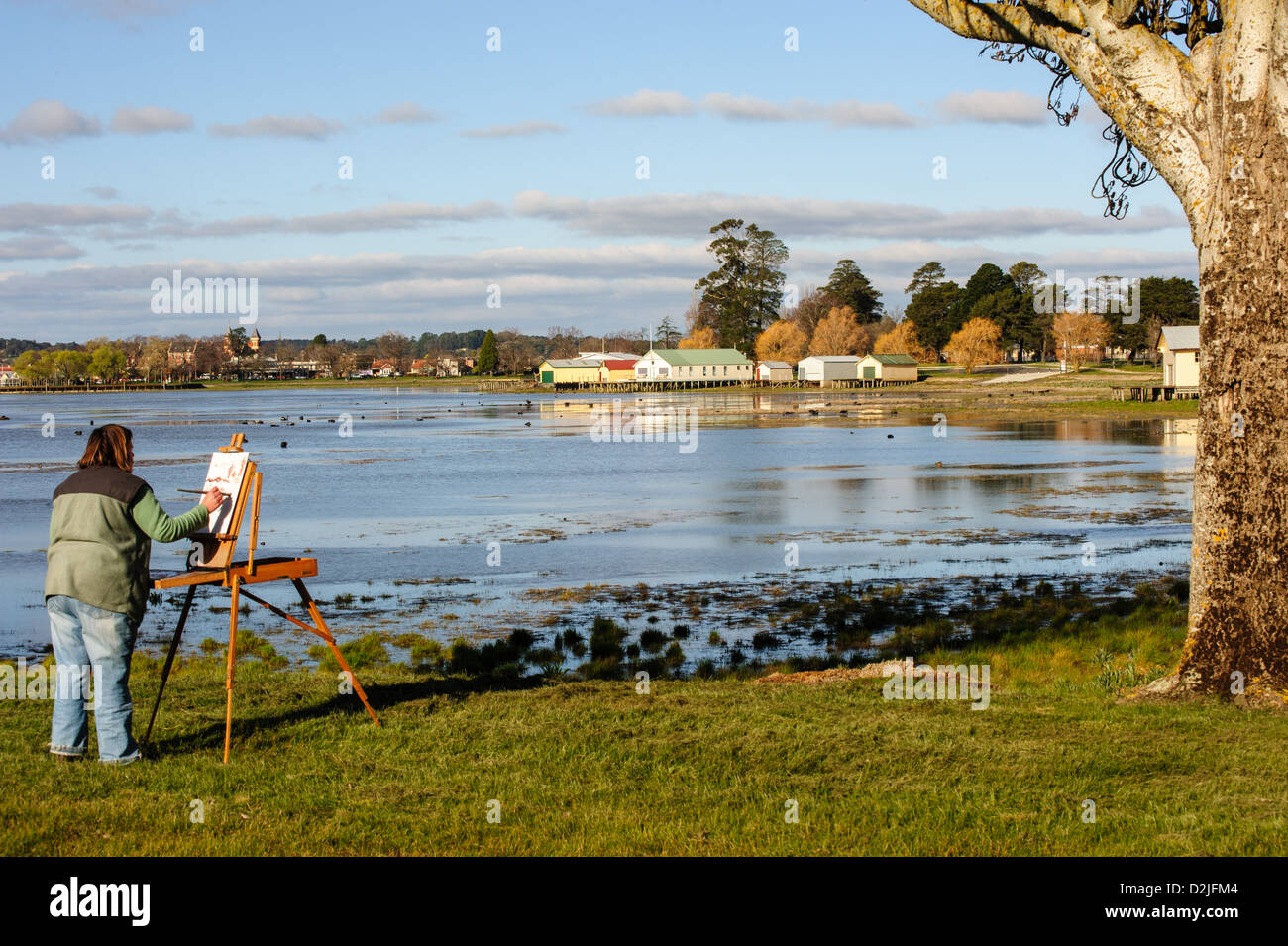 Artist Painting Lake Wendouree Ballarat Victoria, Australia Stock Photo ...