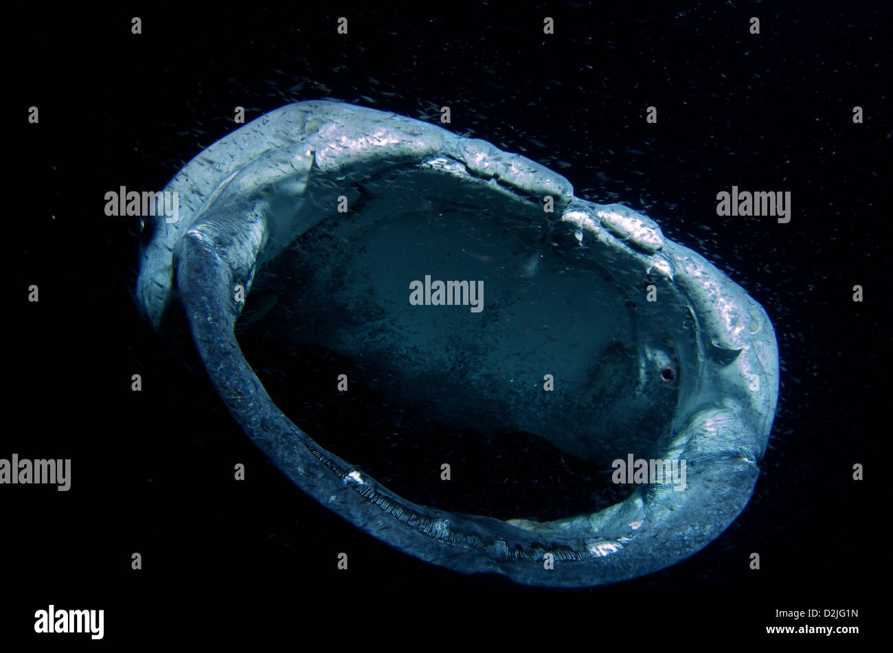 Almost Atoll Stock Photos & Almost Atoll Stock Images - Alamy