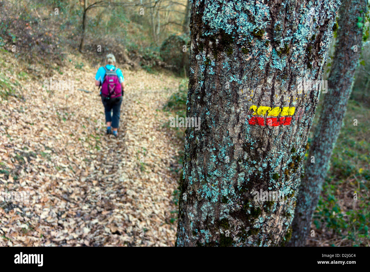 Red and yellow footpath marker on tree with solitary female walker ...