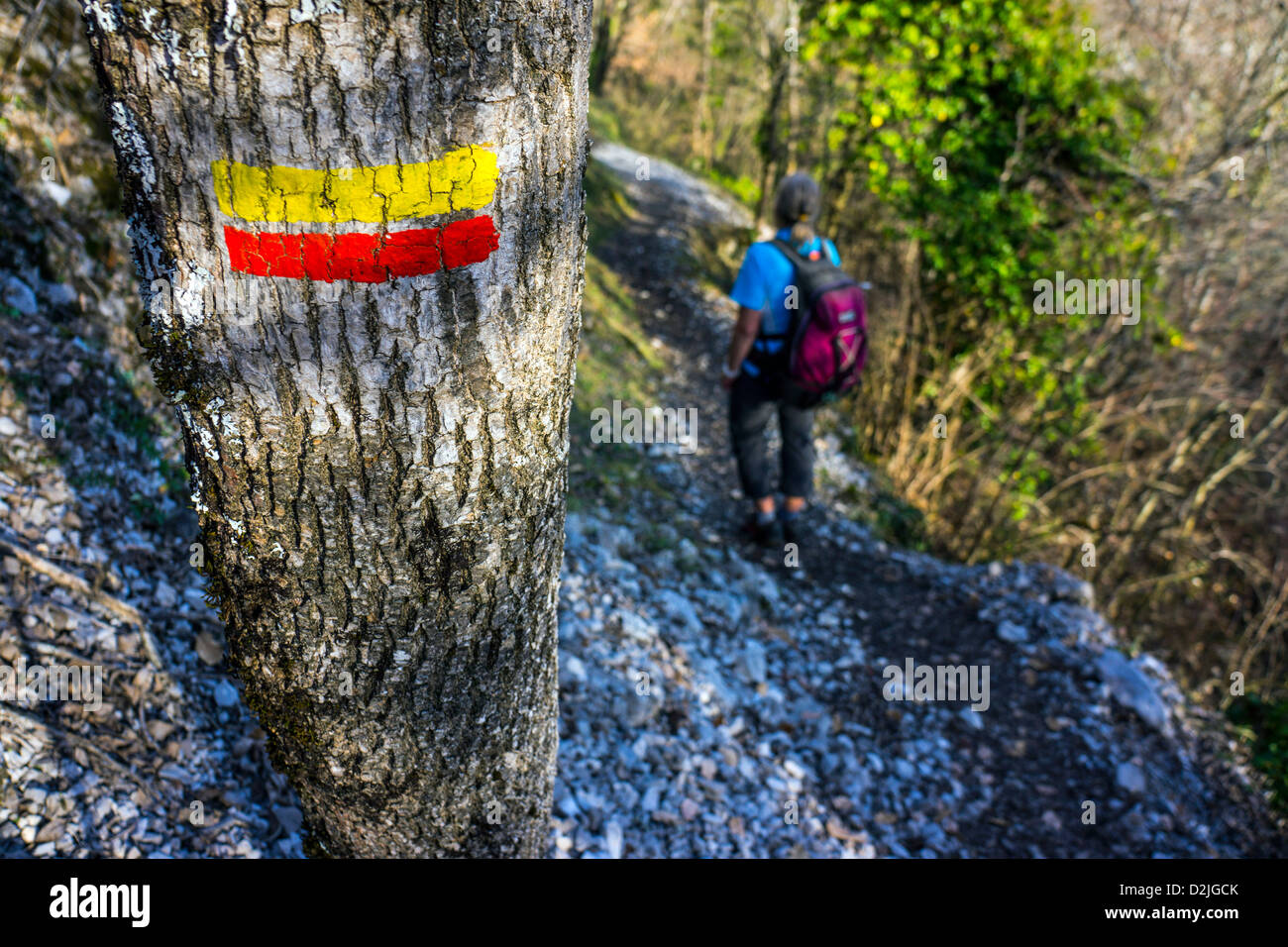 Tree marker hi-res stock photography and images - Alamy