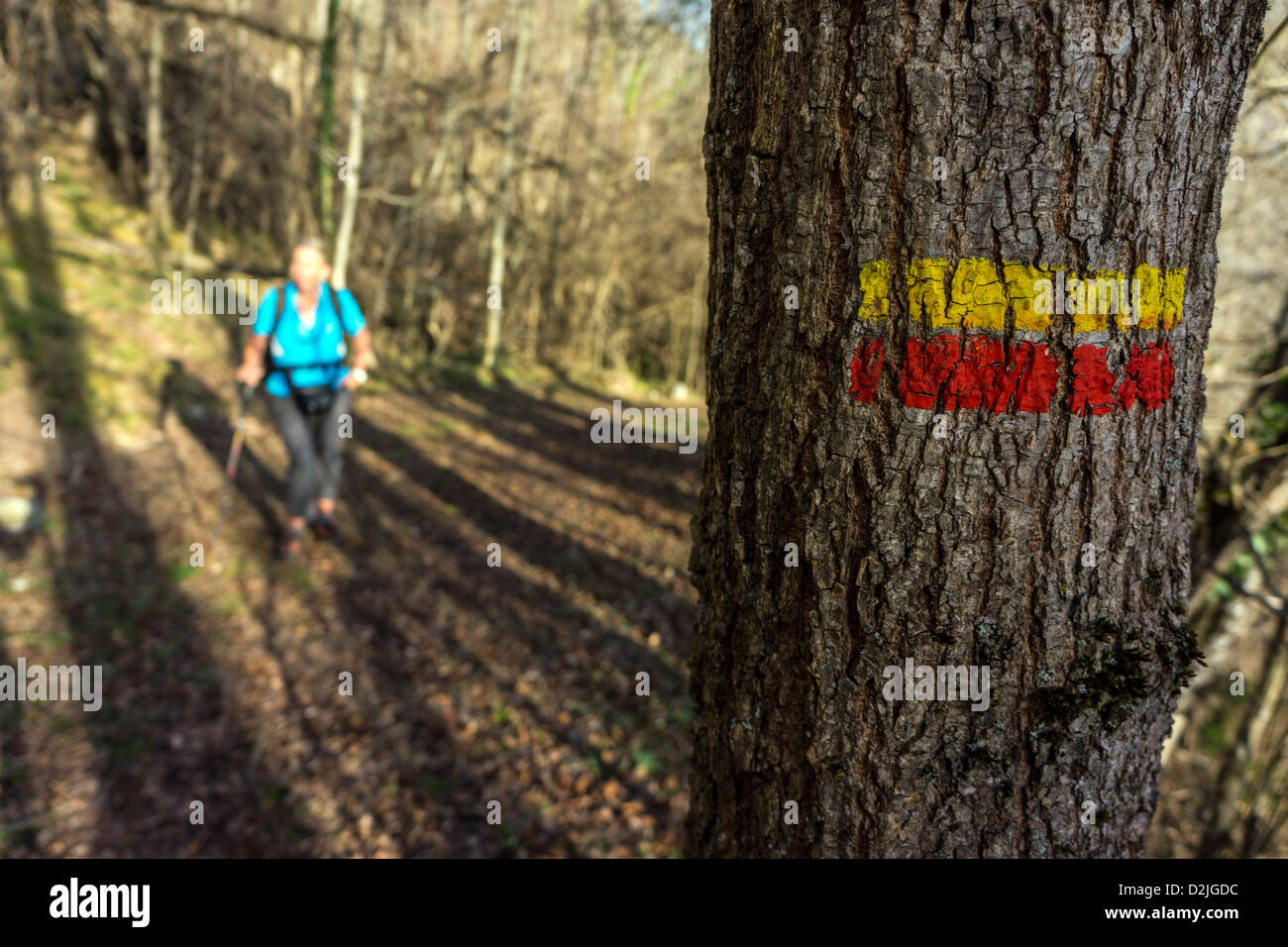 Paint on tree hi-res stock photography and images - Alamy