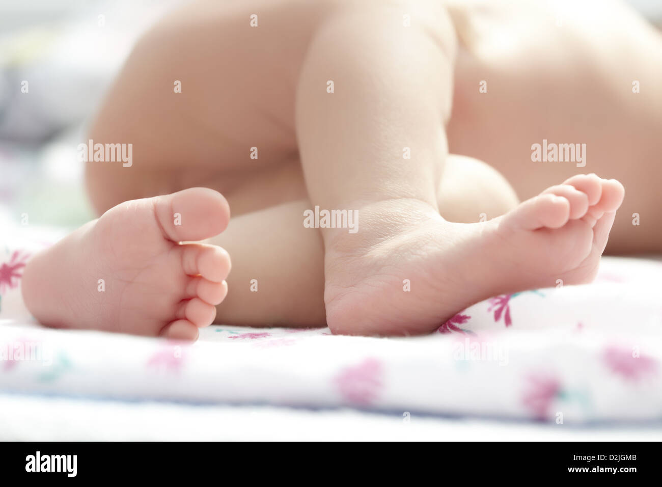 Close-up photo of the newborn legs Stock Photo - Alamy