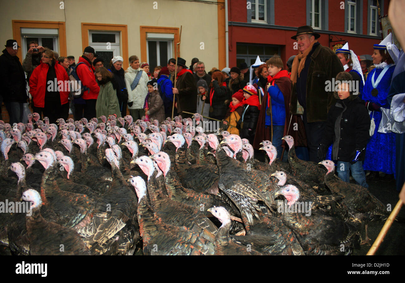 Fête de la dinde de licques , france hi-res stock photography and ...