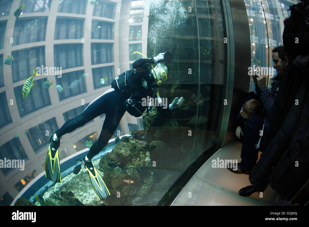 Berlin, Germany, in divers Aquadom the Sealife photographed from the elevator Stock Photo - Alamy