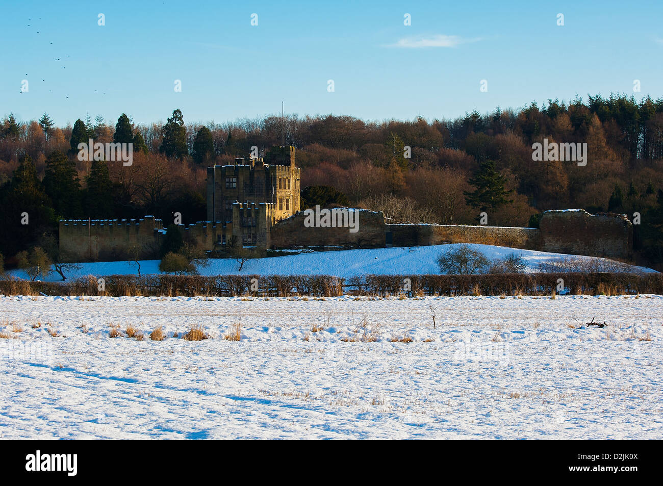 Bothal castle in snow Stock Photo - Alamy