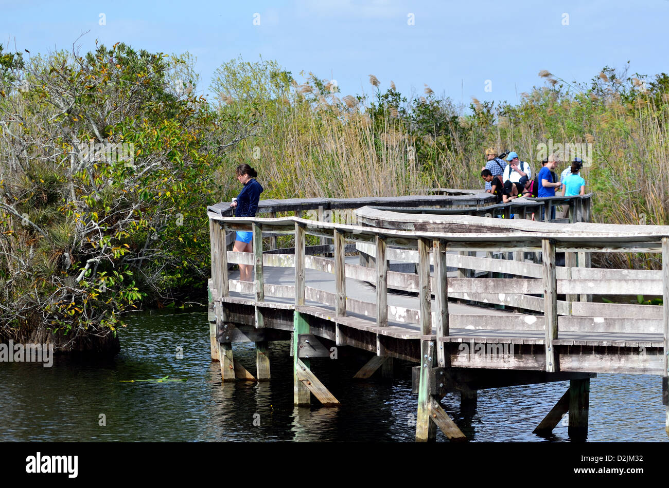 Tourists enjoy natural environment at the Everglades National Park ...