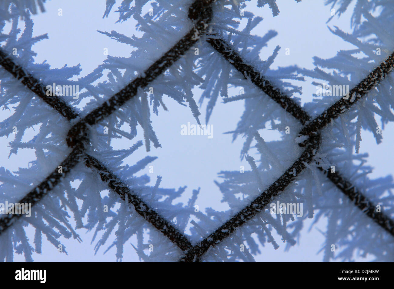 Plants intricate appearance hi-res stock photography and images - Alamy