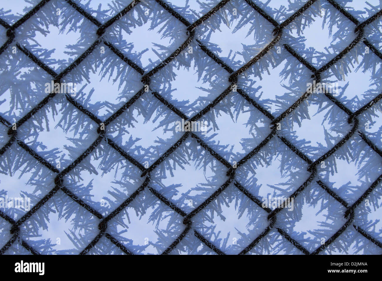 Chain link fences, Hoar frost, fog, winter, cold climates, frozen ...