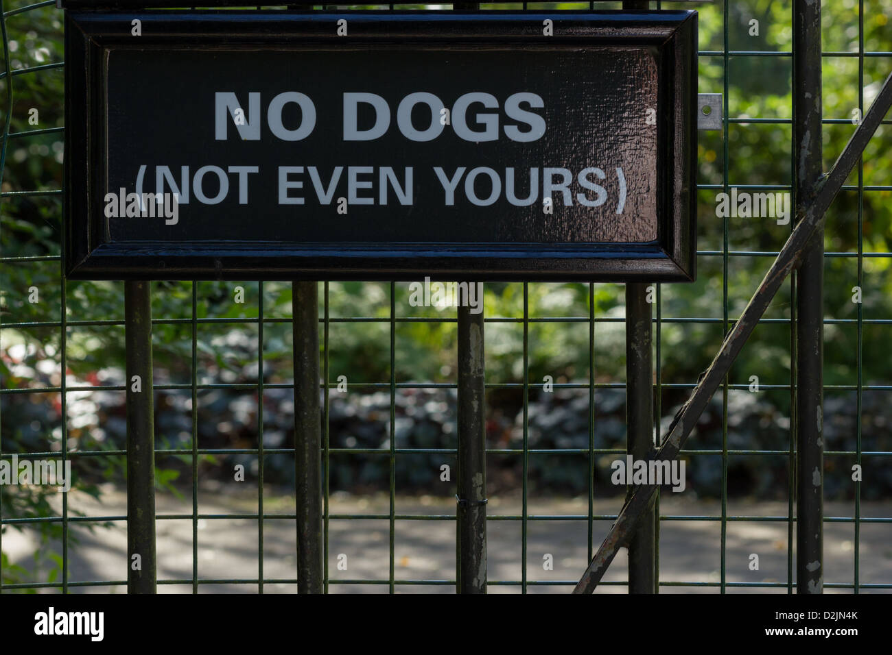 No dogs allowed Stock Photo - Alamy