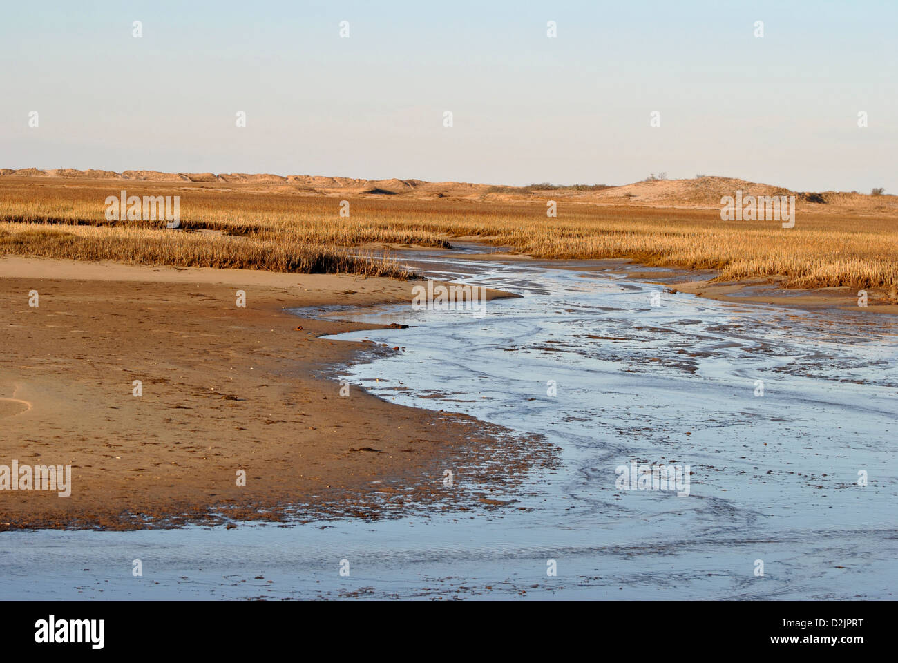 Low Tide in the Marsh Stock Photo - Alamy