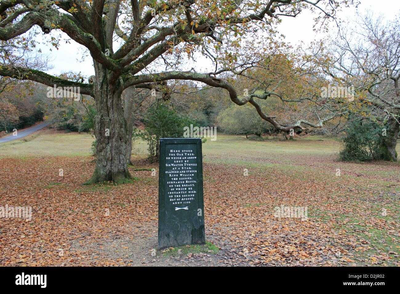 King William 2nd was killed under an oak tree where The Rufus Stone now ...