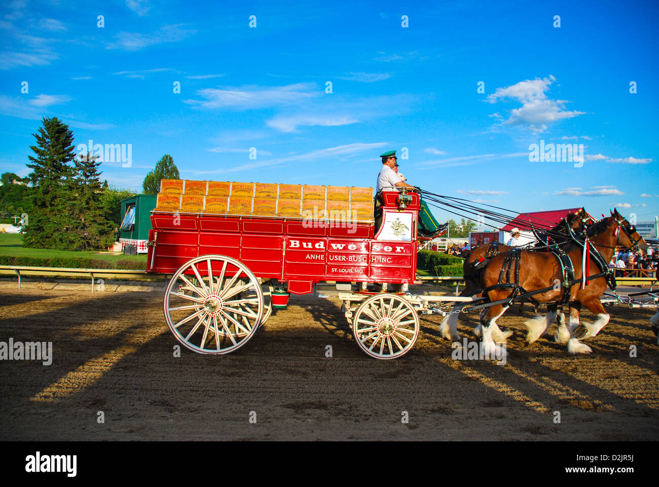 Calgary stampede girls hi-res stock photography and images - Alamy