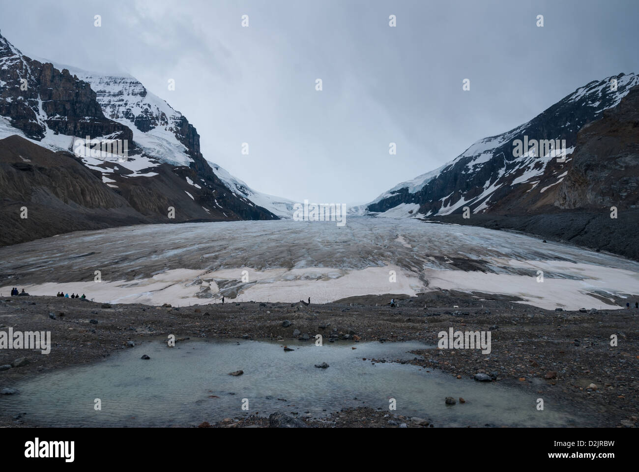 Columbia Icefield in Jasper National Park, AB, Canada Stock Photo - Alamy