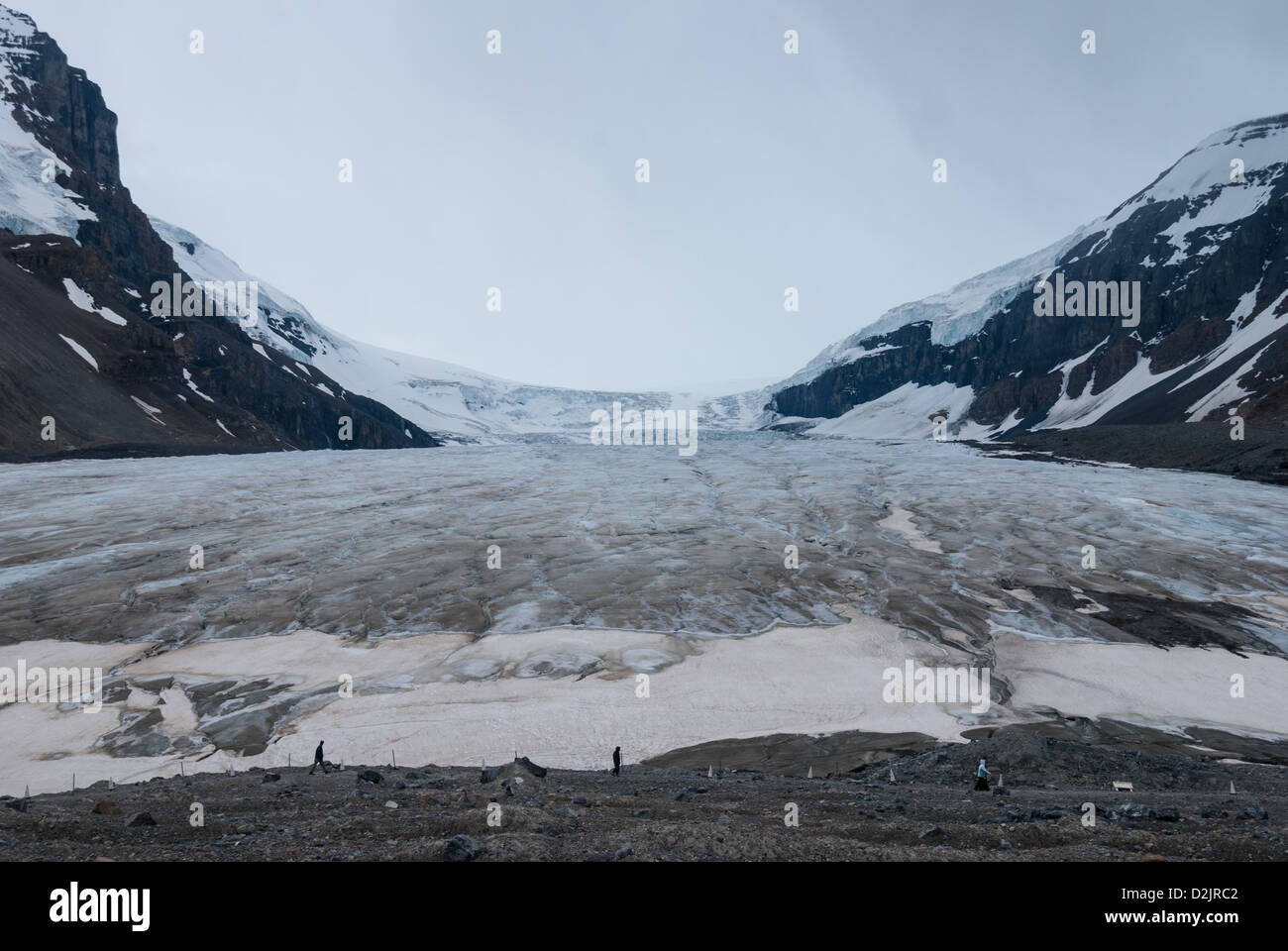 Columbia Icefield in Jasper National Park, AB, Canada Stock Photo - Alamy