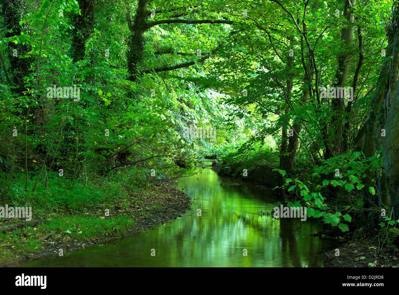 River cerne hi-res stock photography and images - Alamy