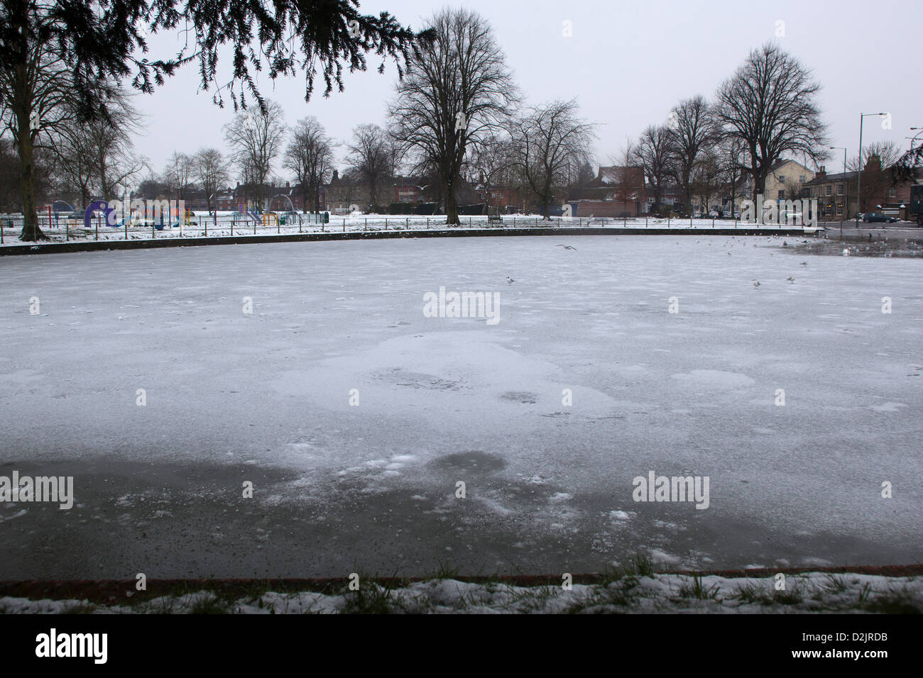 Crammer hi-res stock photography and images - Alamy