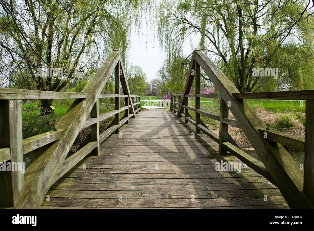 A bridge runs through an arboretum Stock Photo - Alamy