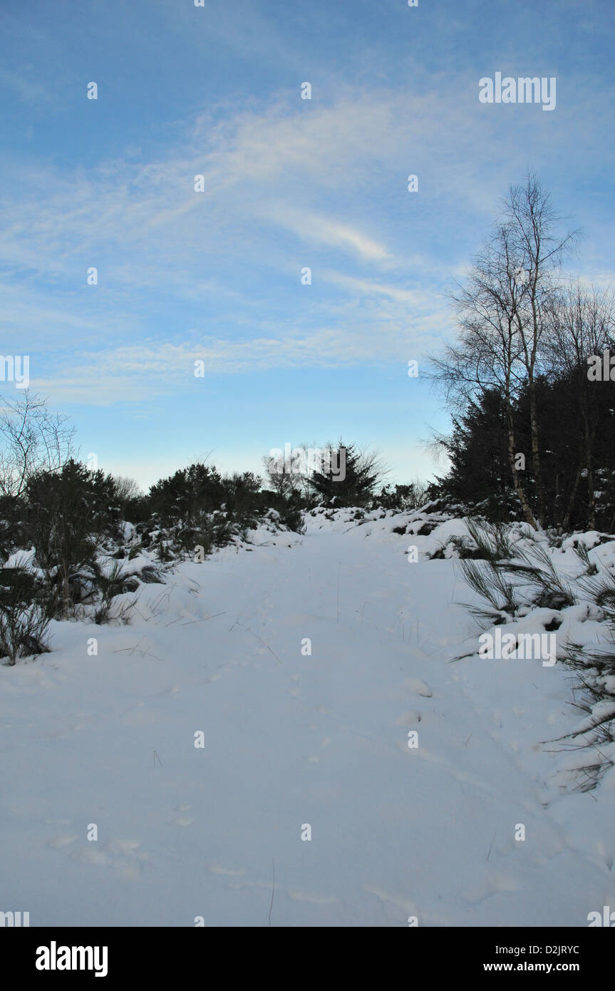 Blue sky winter hi-res stock photography and images - Alamy