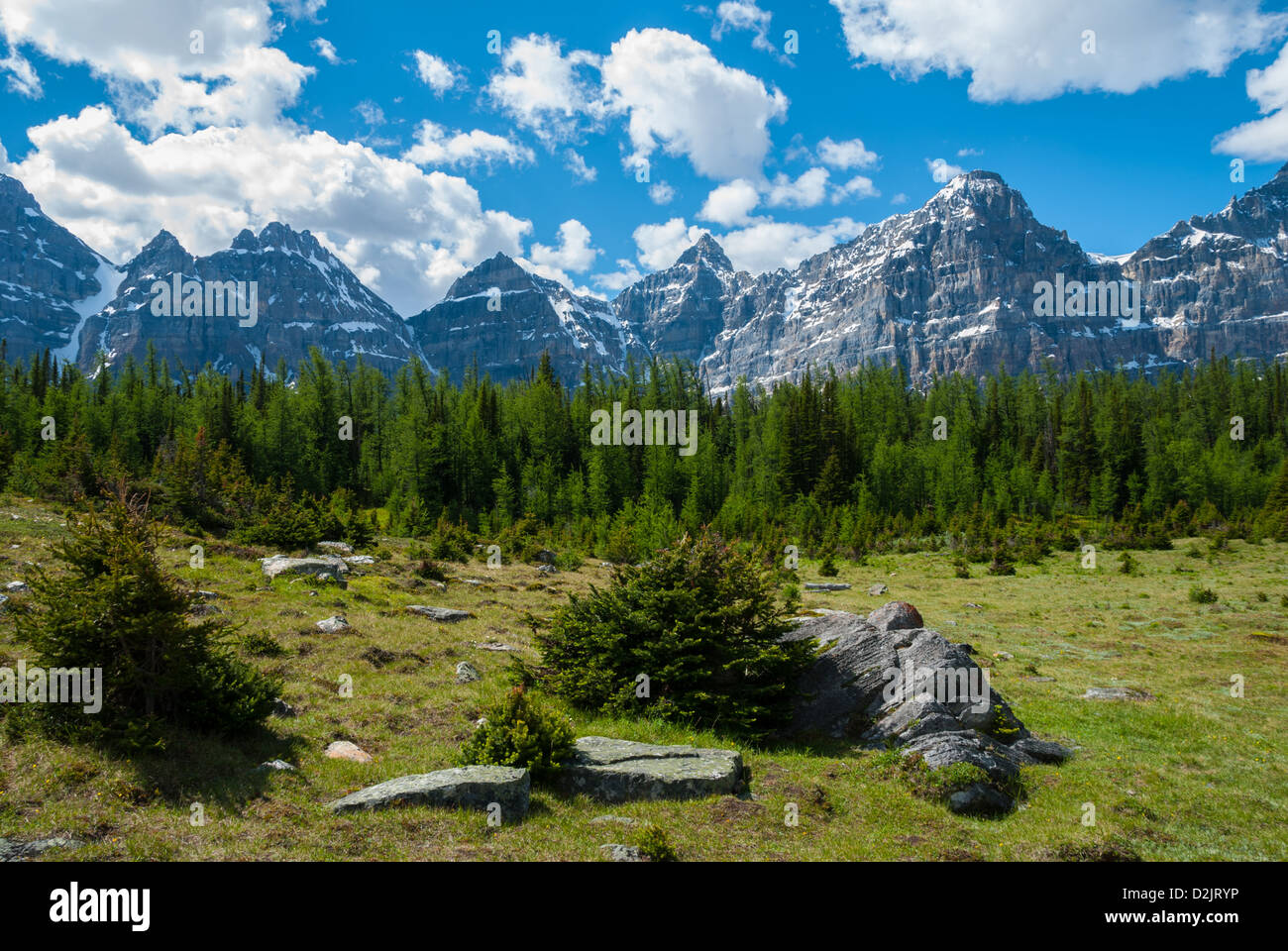 Sentinel Pass Stock Photos & Sentinel Pass Stock Images - Alamy