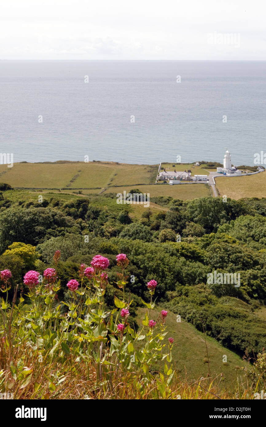St. Catherine's Lighthouse, Isle of Wight, England Stock Photo - Alamy