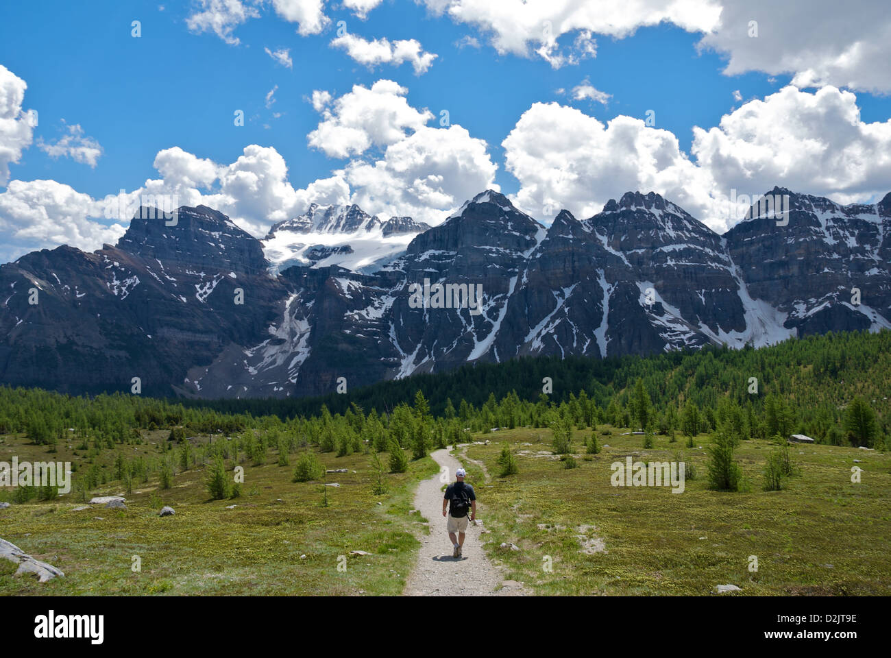Sentinel Pass Hike and Larch Valley near Moraine Lake, AB, Canada Stock ...