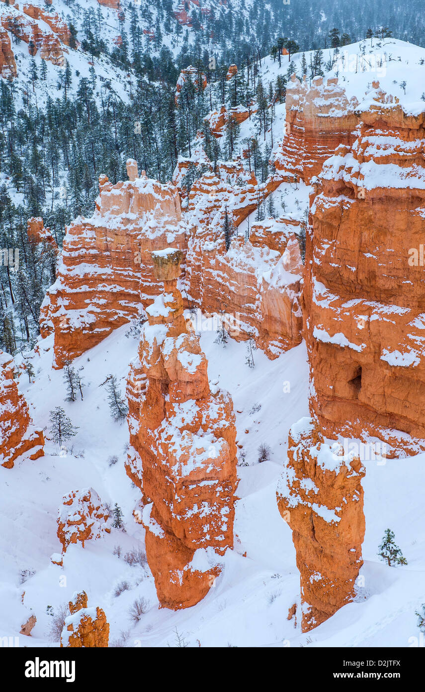 Bryce Canyon National Park, Utah in snow Stock Photo - Alamy