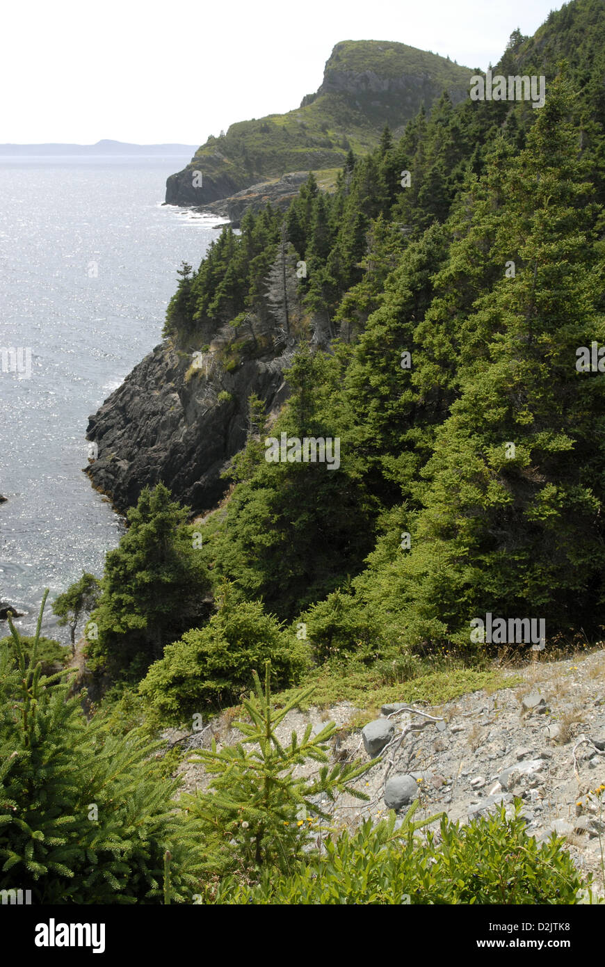 Coastline on Burnt Head, Newfoundland Stock Photo - Alamy