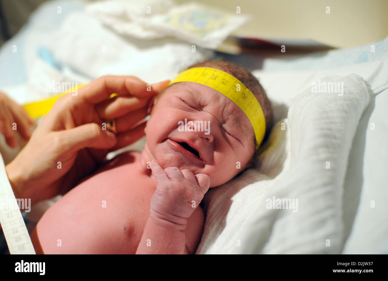 Berlin, Germany measure, that of the head of a newborn Stock Photo - Alamy