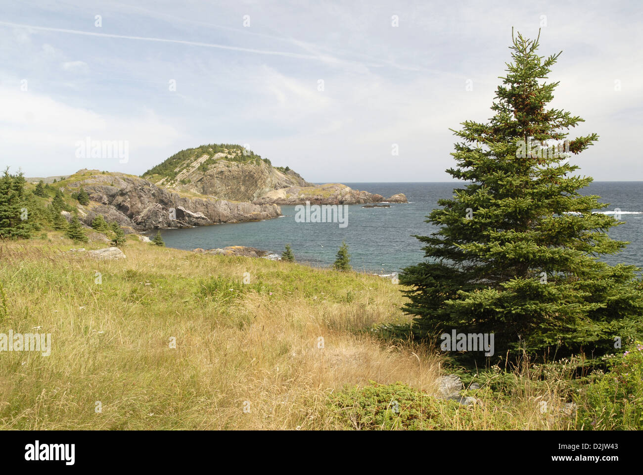 Burnt head hi-res stock photography and images - Alamy