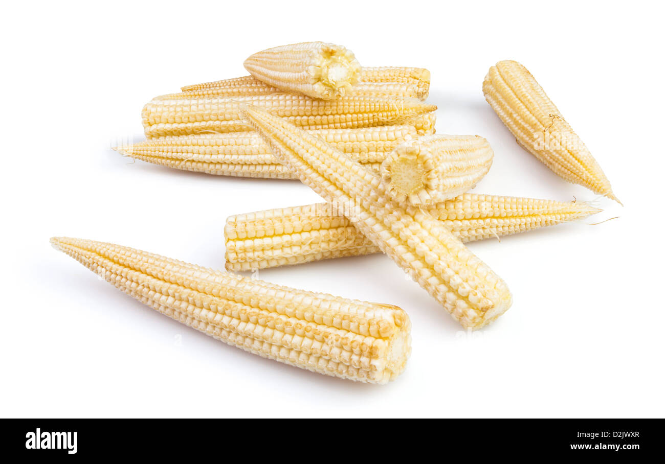 corn baby many group on white background Stock Photo - Alamy