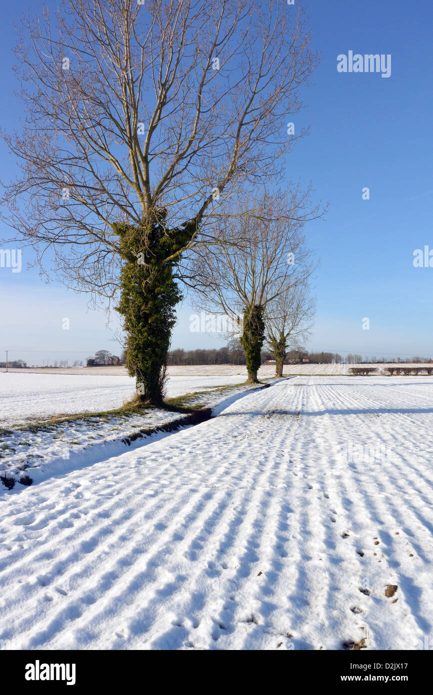 Norfolk countryside winter walk hi-res stock photography and images - Alamy