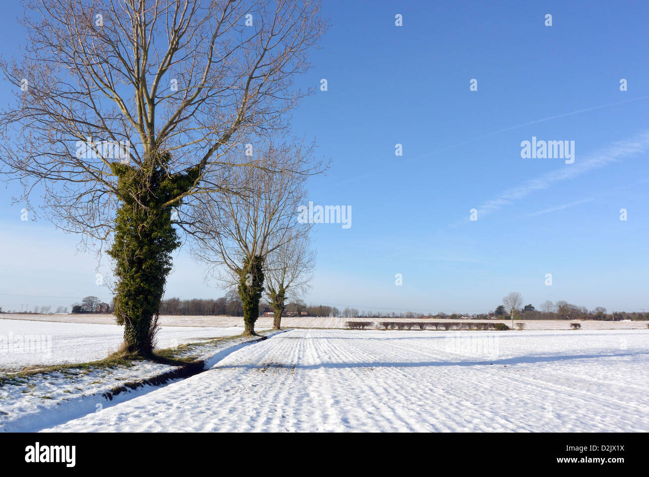 Norfolk countryside winter walk hi-res stock photography and images - Alamy