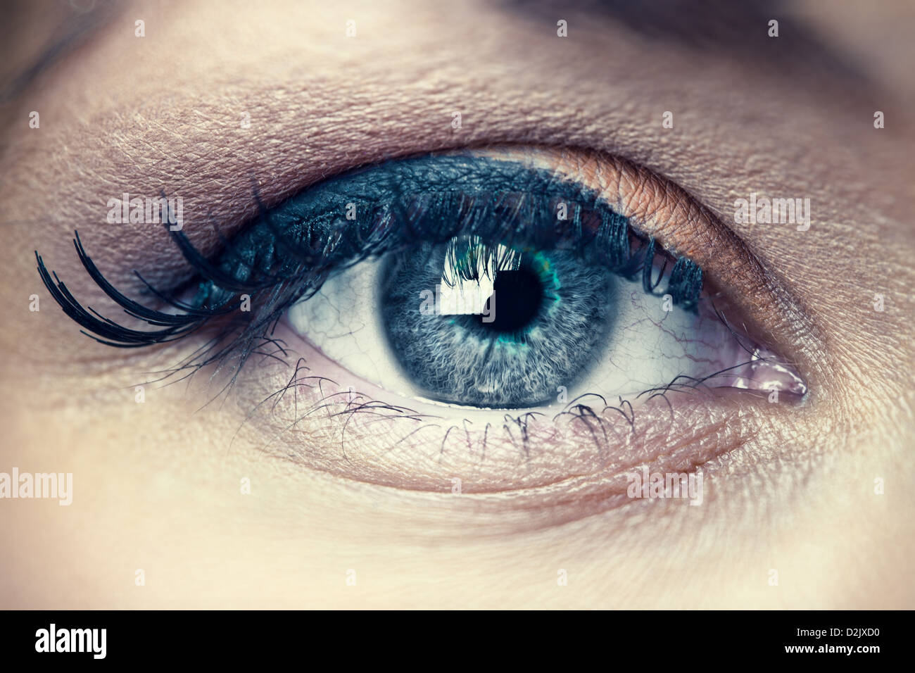 Young woman eye closeup. Contrast colors Stock Photo - Alamy