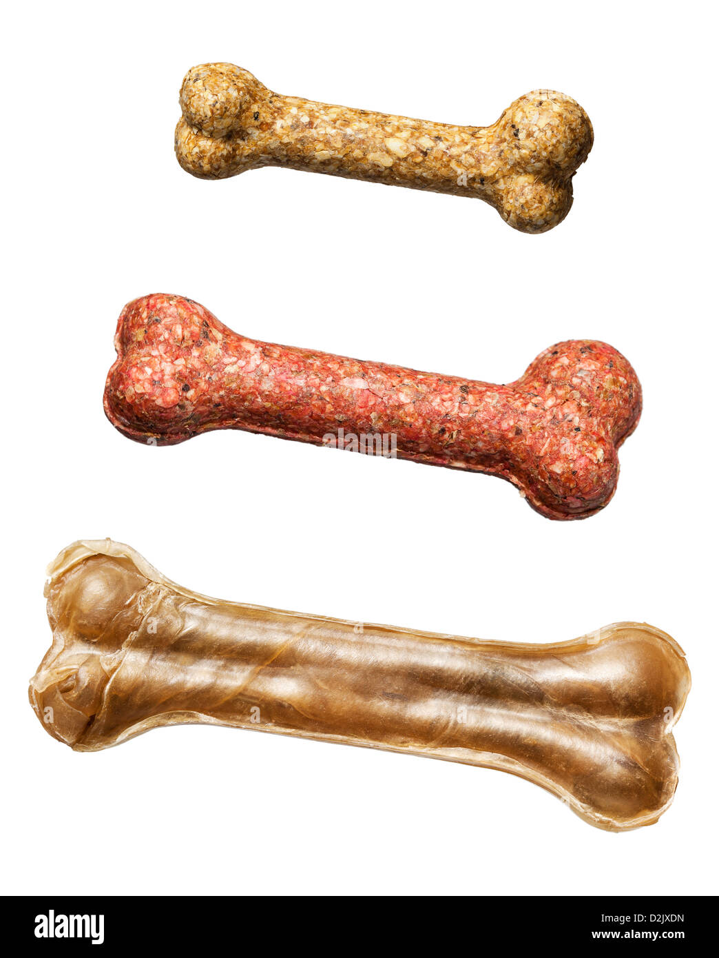 Solid bones hi-res stock photography and images - Alamy