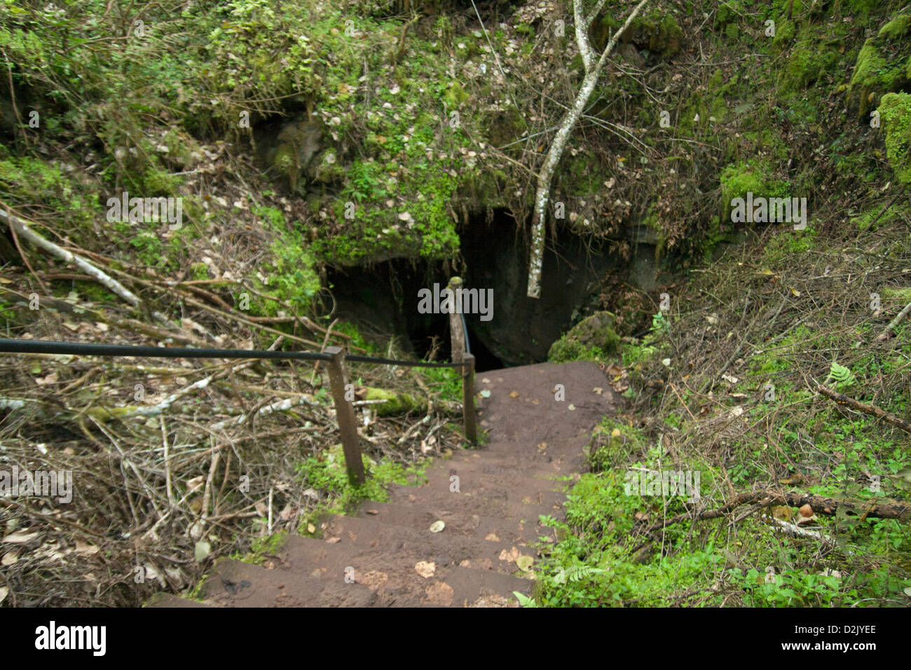 Entrance to a cave produced by the eruption of a volcano Stock Photo ...