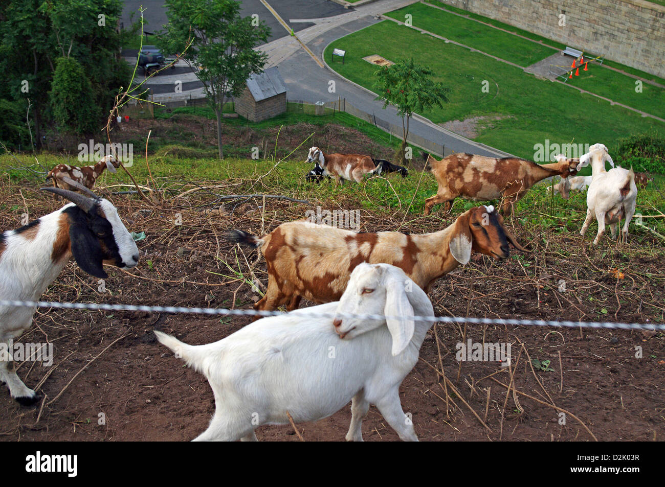 Goat fort hi-res stock photography and images - Alamy
