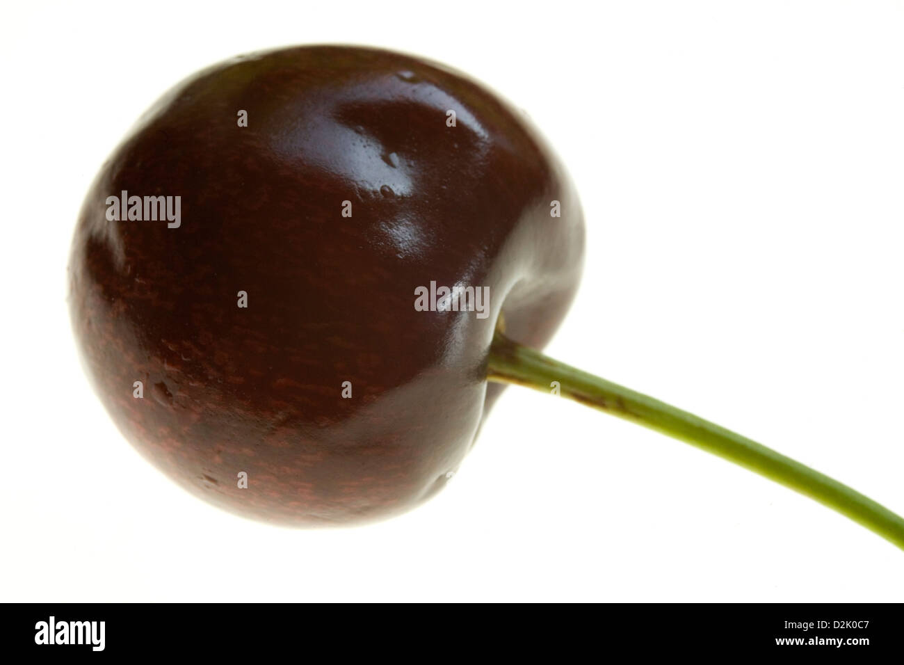 One black cherry isolated on a white background Stock Photo - Alamy