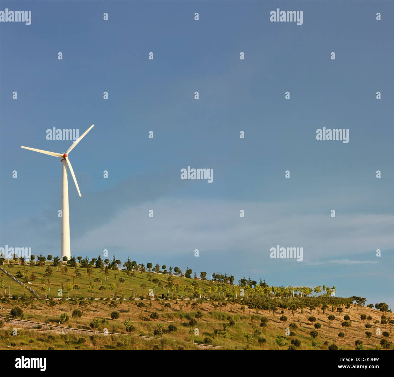 Wind turbine among trees in a park with blue sky Stock Photo - Alamy