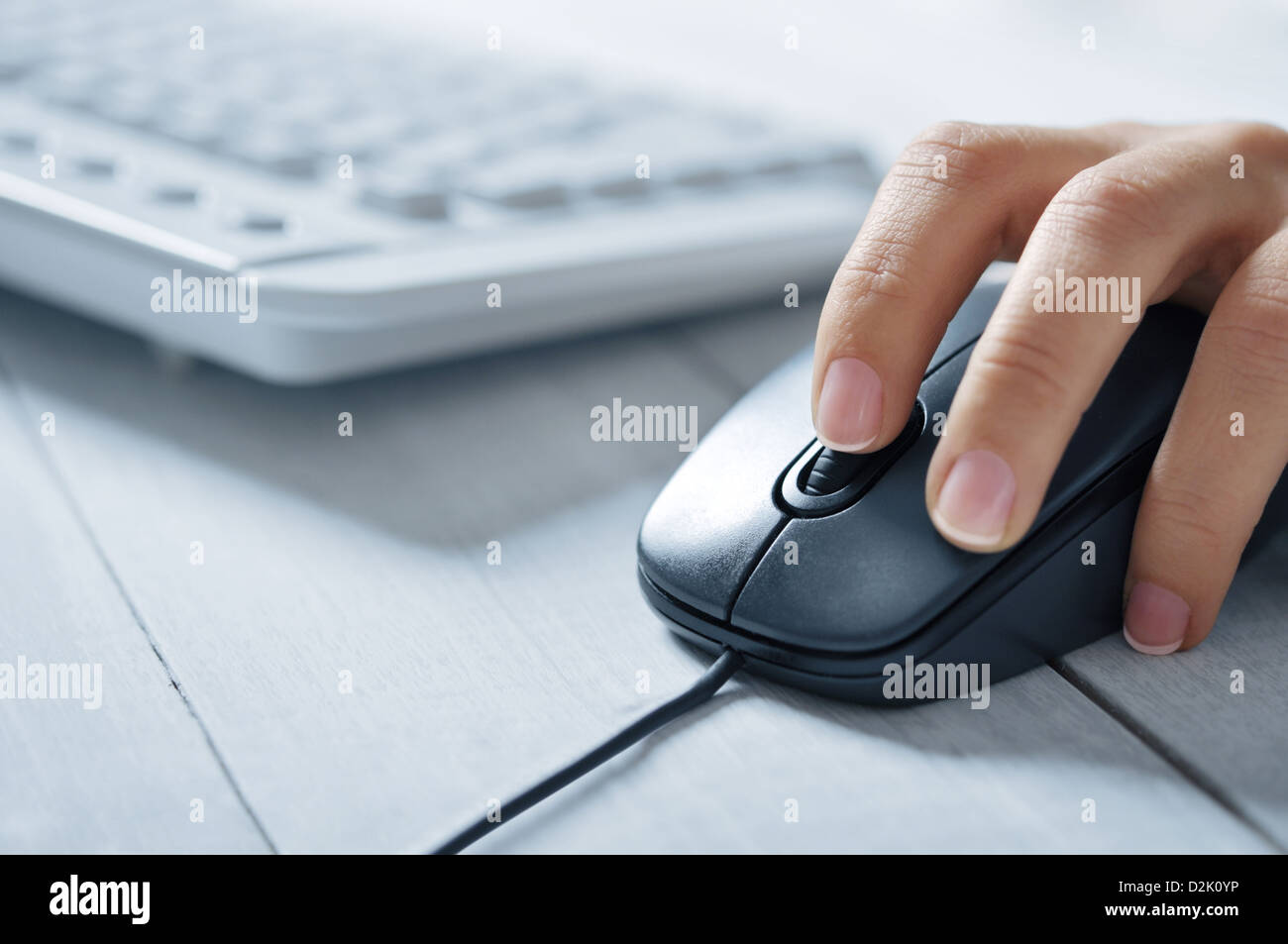 female hands using a computer on light background Stock Photo - Alamy