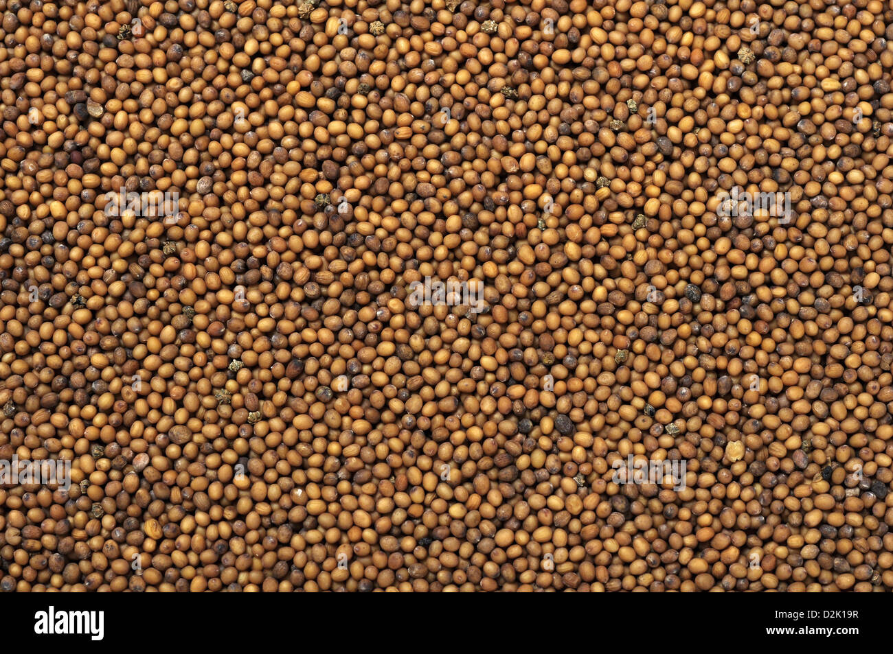 Mustard texture hi-res stock photography and images - Alamy
