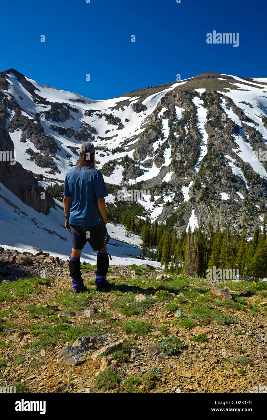 Grand teton national park meadow hiker hi-res stock photography and ...