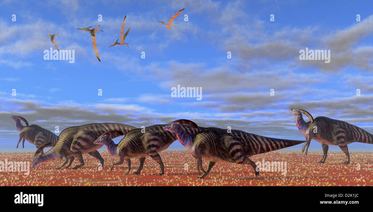 Parasaurolophus herd hi-res stock photography and images - Alamy