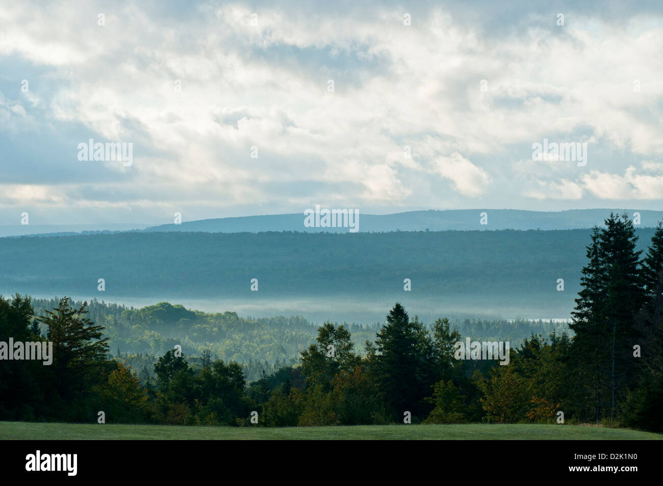 Bras dor region hi-res stock photography and images - Alamy
