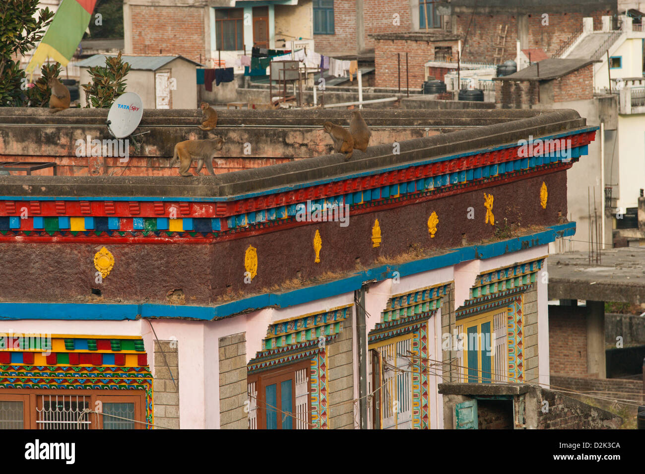 Rewalsar Himachal Pradesh India Stock Photo - Alamy