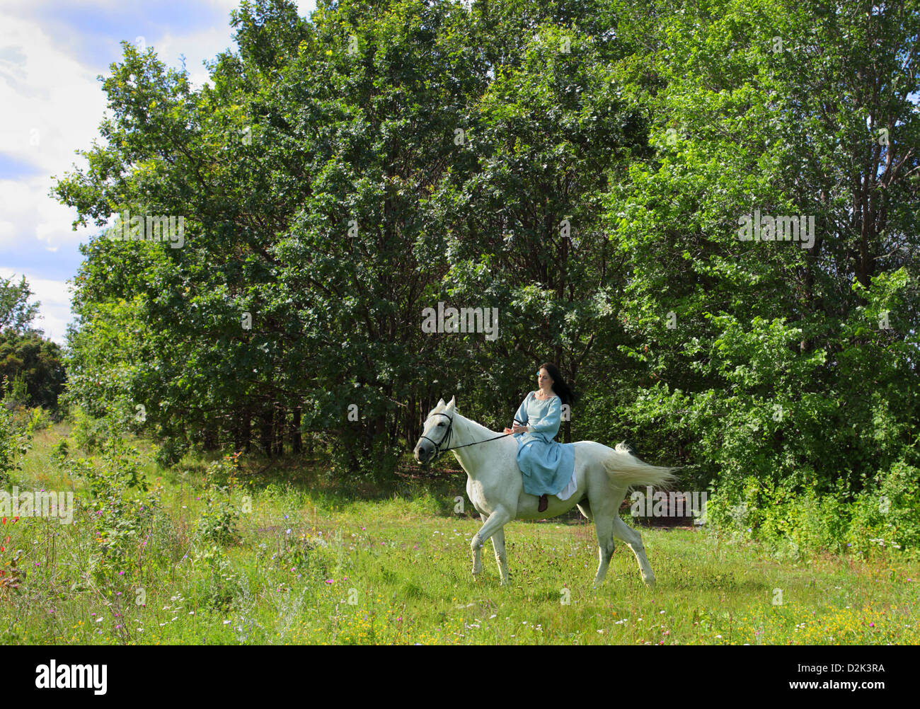 Equestrian girl in a beautiful old medieval style dress Stock Photo - Alamy
